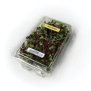Micro Greens Tub – Urban Farming SA