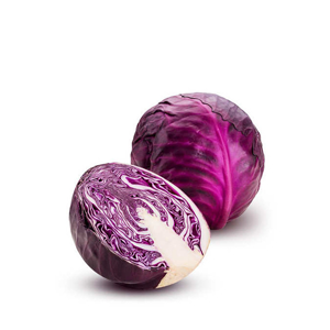 Red Cabbage – Urban Farming SA